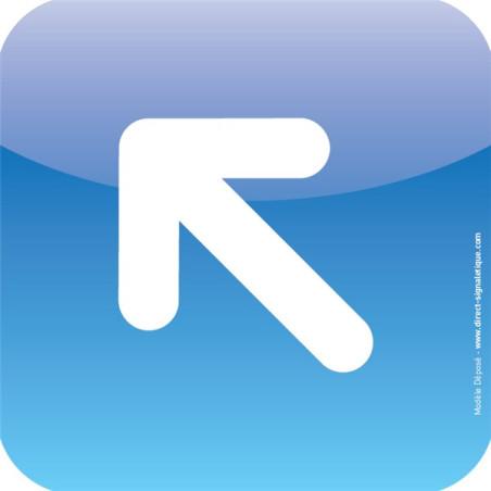 Plaque de porte Icone® - Flèche en haut à gauche - 120 x 120 mm | Web ...